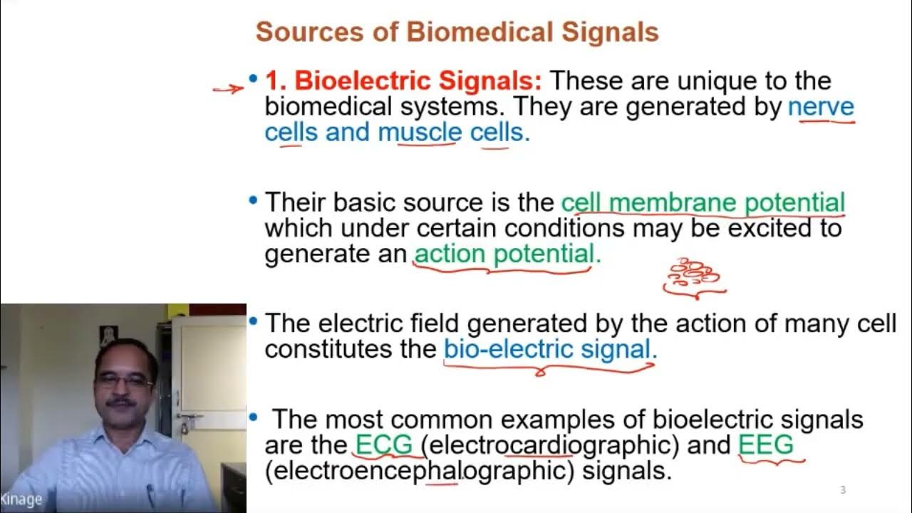 Lecture 4 BSP Bioelectric Signals - YouTube