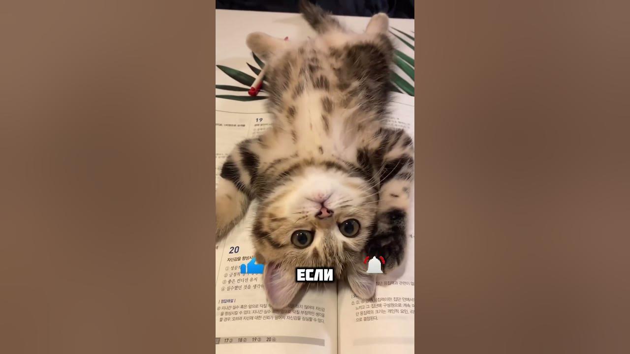 Подарок на всю жизнь! - YouTube