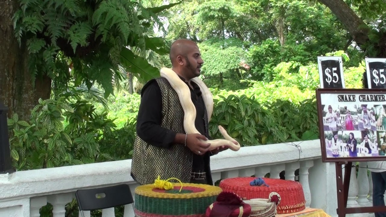 Snake charmer (Sentosa Island, part 5) - YouTube