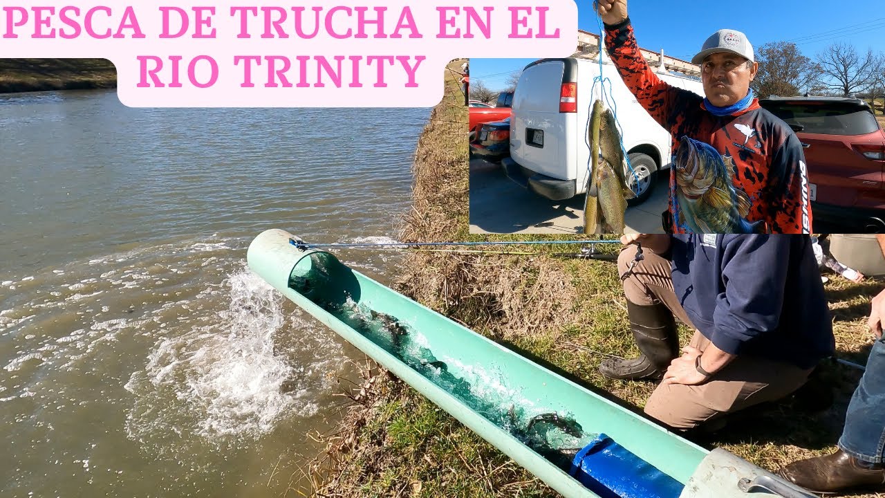 PESCA DE TRUCHAS EN RIO TRINITY - YouTube