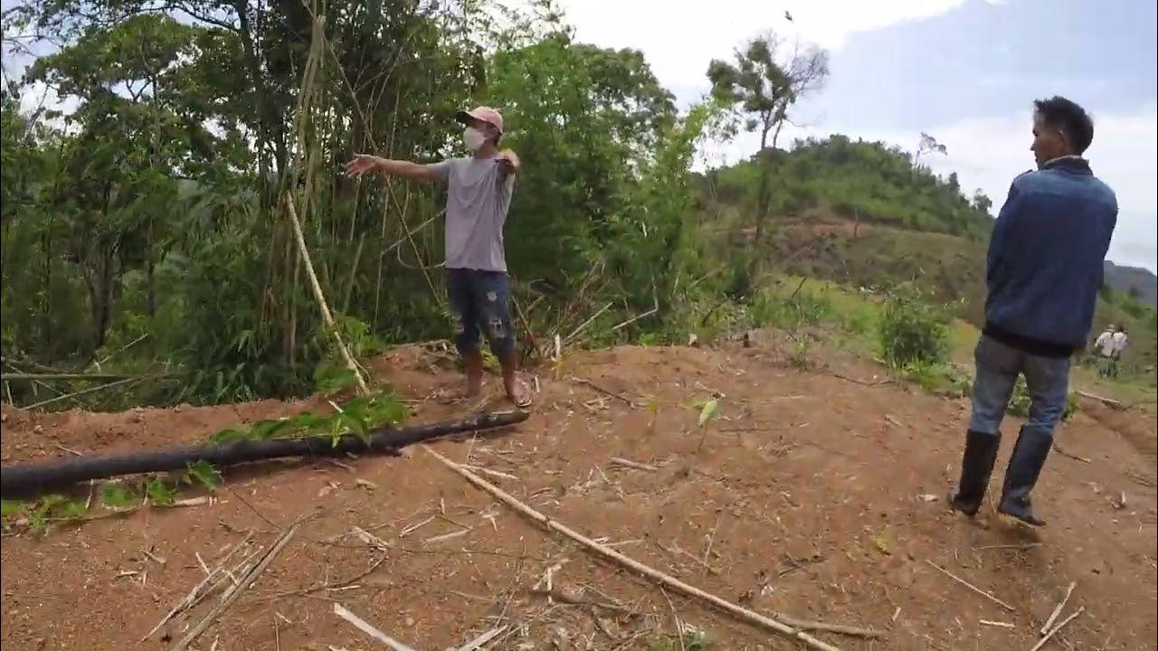 xyuas teb ntoo yas 2024 part 6 - YouTube