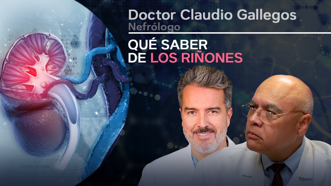 Los Riñones: Funciones, Cuidados y Prevención de Enfermedades con el ...