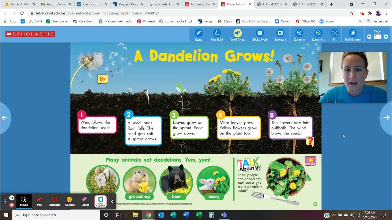 Go, Seeds, Go! - Scholastic - YouTube