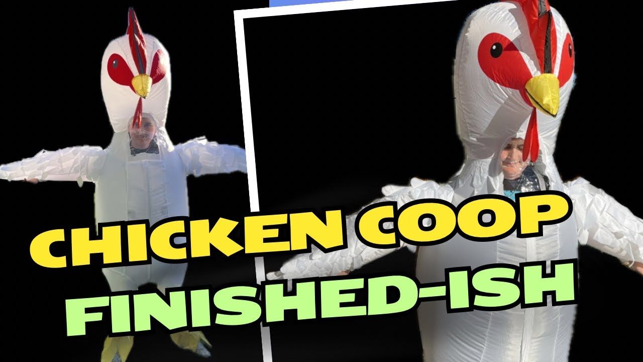 Backyard Chicken Coop Finished-ish - YouTube