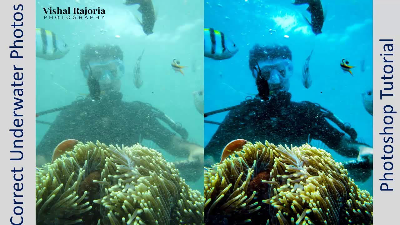 Correct Underwater Photos | Photo Editing | Photoshop Tutorials - YouTube