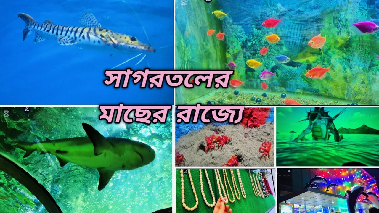 Radiant Fish world accuriam Cox's bazar Vlog |Ticket price |রেডিয়ান্ট ...