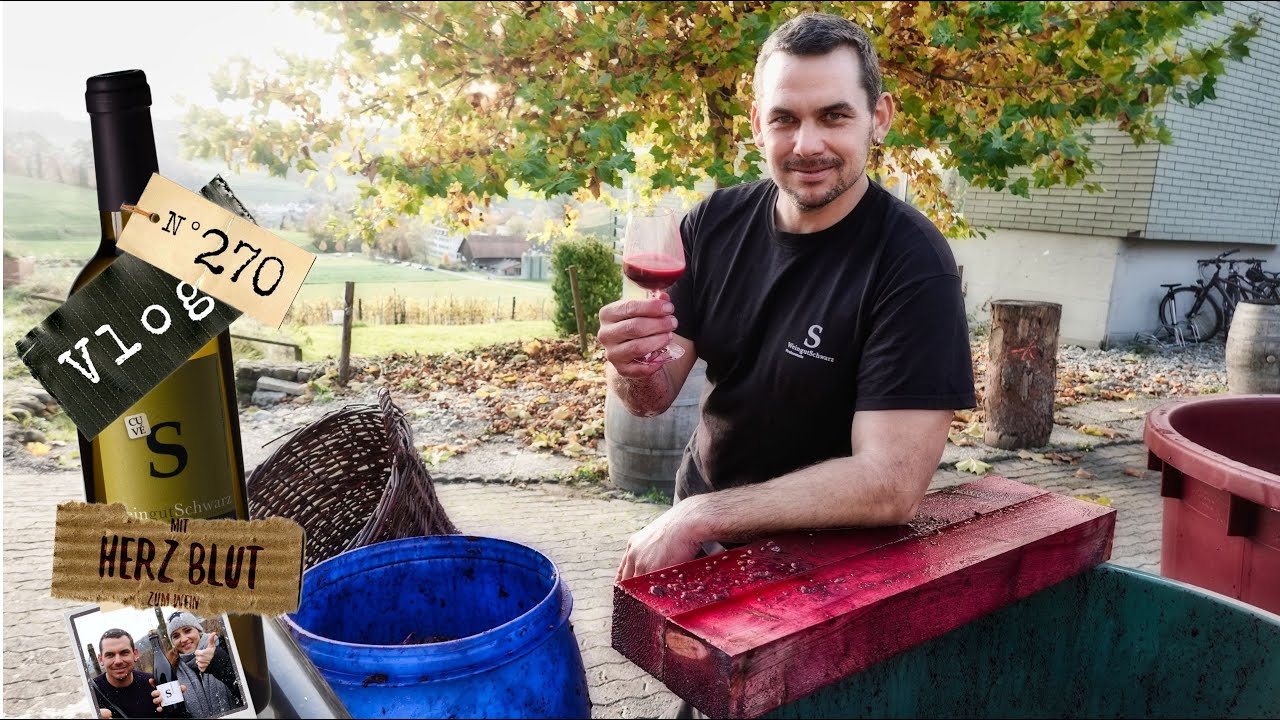 Trauben pressen wie früher | Wein wie dazumal | Weinvlog #270 - YouTube