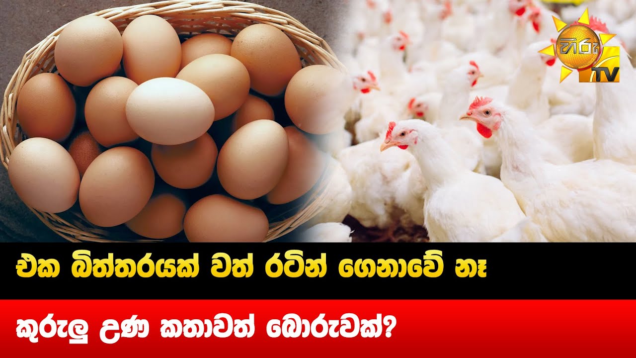 එක බිත්තරයක් වත් රටින් ගෙනාවේ නෑ කුරුලු උණ කතාවත් බොරුවක් Hiru News