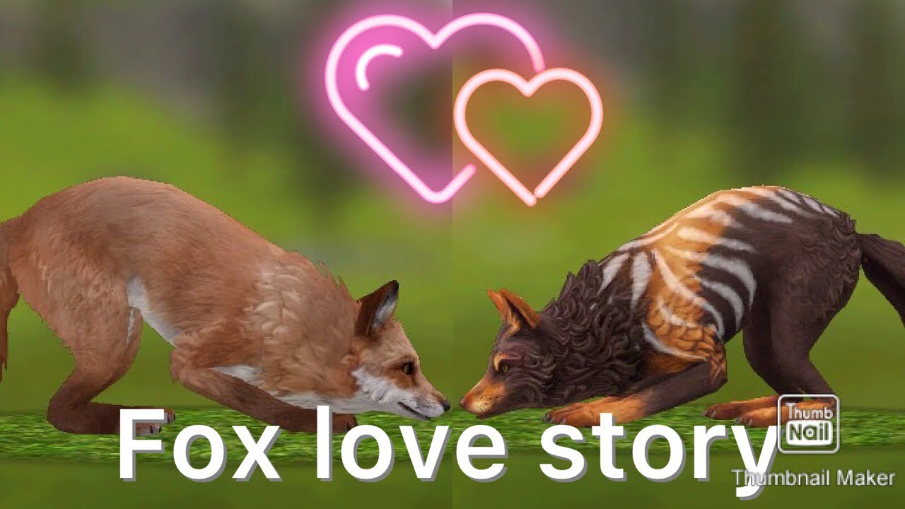 Wildcraft~~fox Love Story Youtube