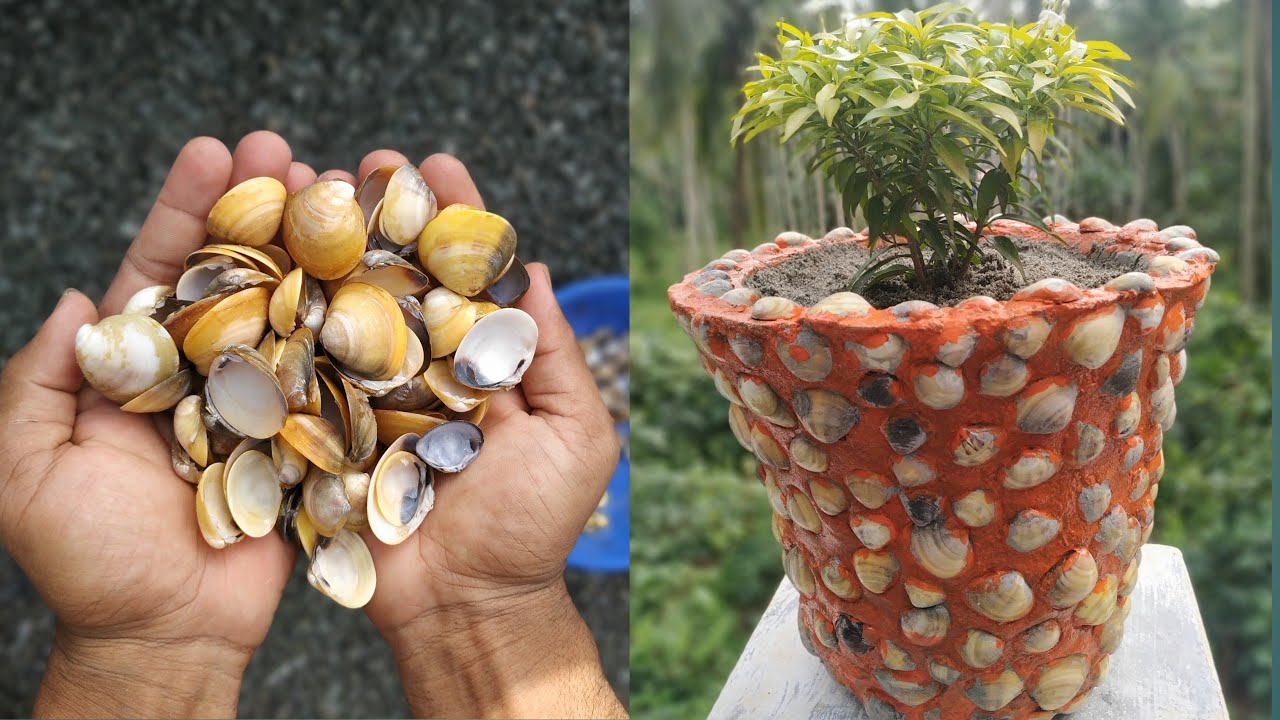 DIY Amazing Flower Pot make home!! From Seashell-craft ideas - YouTube