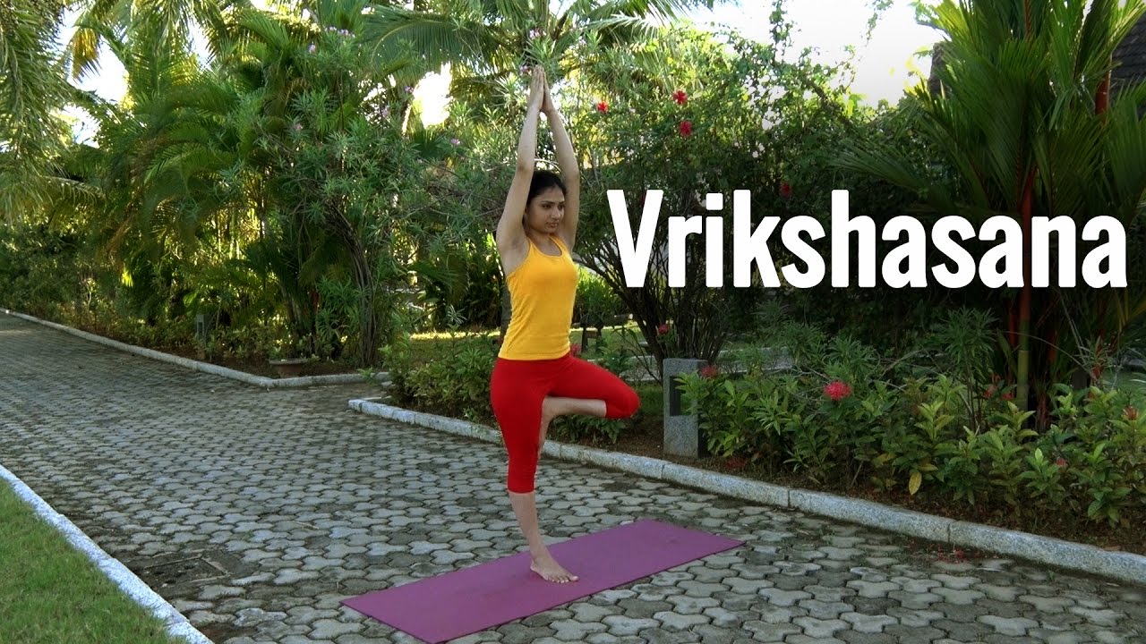Vrikshasana, the Sturdy and Firm Tree Pose in Yogasana - YouTube