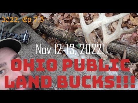 2022 Ohio buck kill! 3 big buck encounters in 2 days. Public land ...