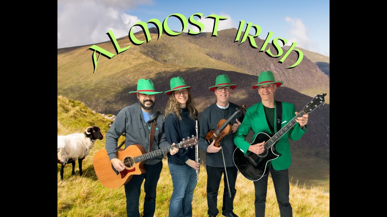 Almost Irish - The Wild Rover - Traditional Irish Music Band Live at ...