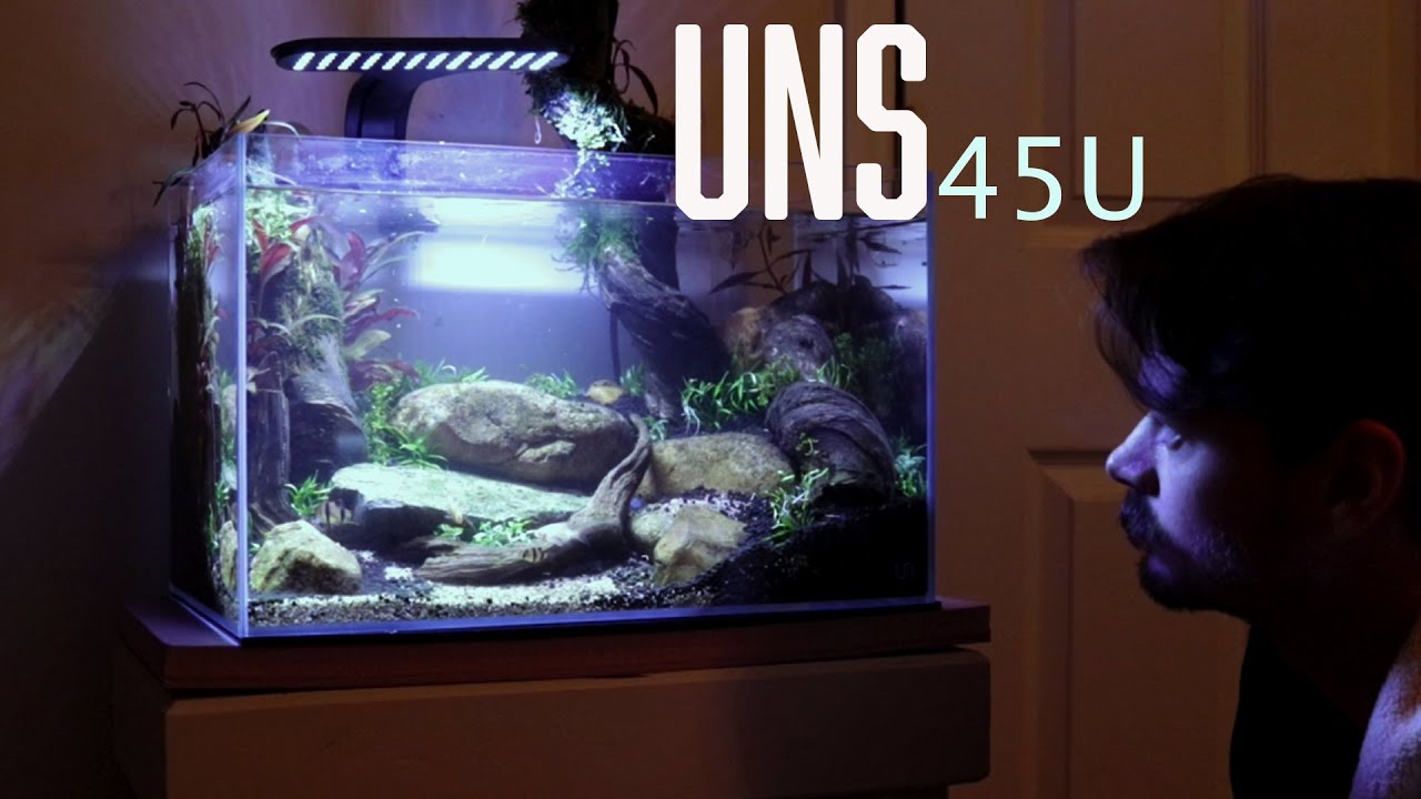 SETTING UP A UNS 45U FISHTANK | Lowtech - YouTube