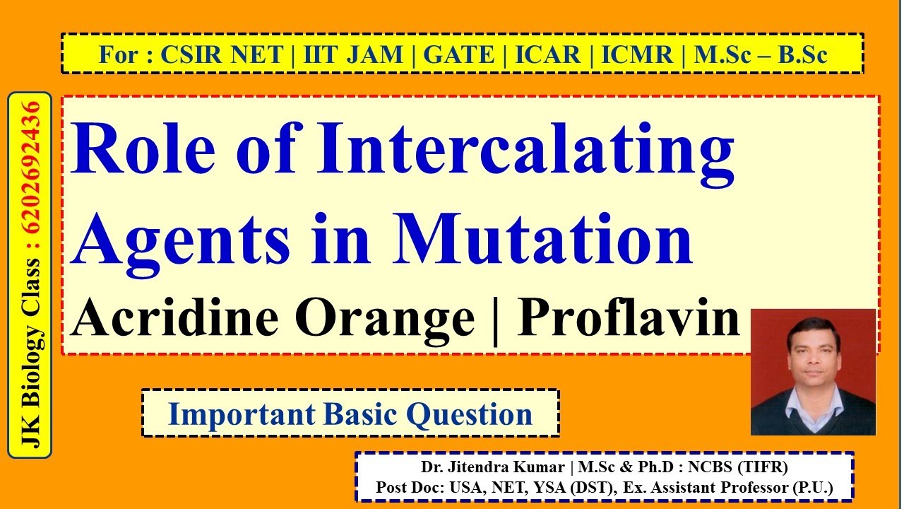 Role of Intercalating Agents in Mutation | Reversal of Intercalating ...