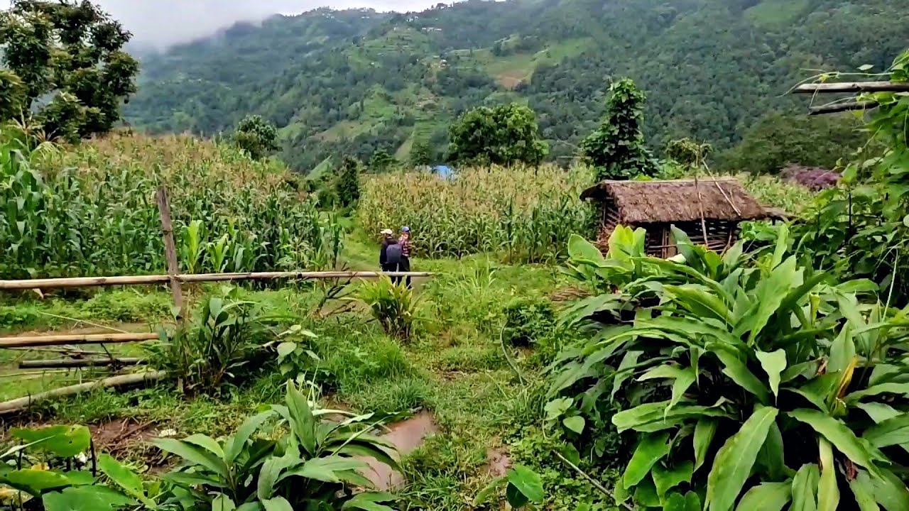 Most Beautiful Nepali Mountain Village || Daily Farmers Life in Remote ...