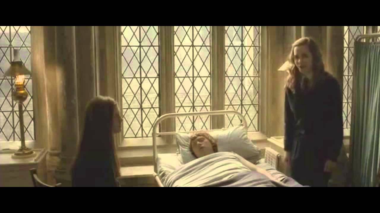 You Daft Dimbo! - YouTube