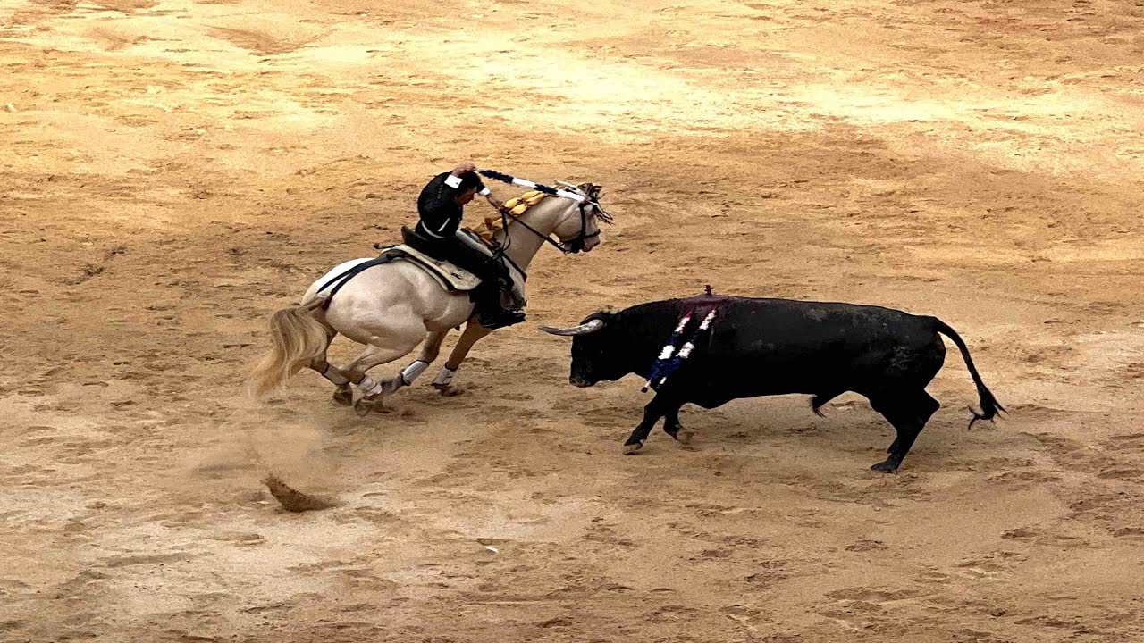 Behind the Horns Unveiling the Mysteries of the Bull Run and the ...