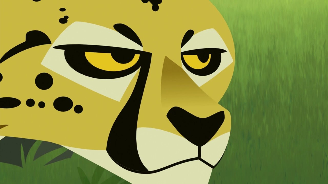 GeoKids Cool Cats Song (QuiggC1 Version) - YouTube