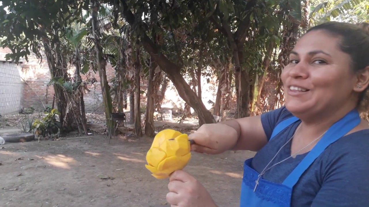 ASI SE HACE EL DELICIOSO MANGO EN FLOR SALVADOREÑO - YouTube