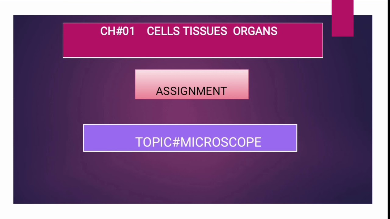 Assignment topic# microscope - YouTube