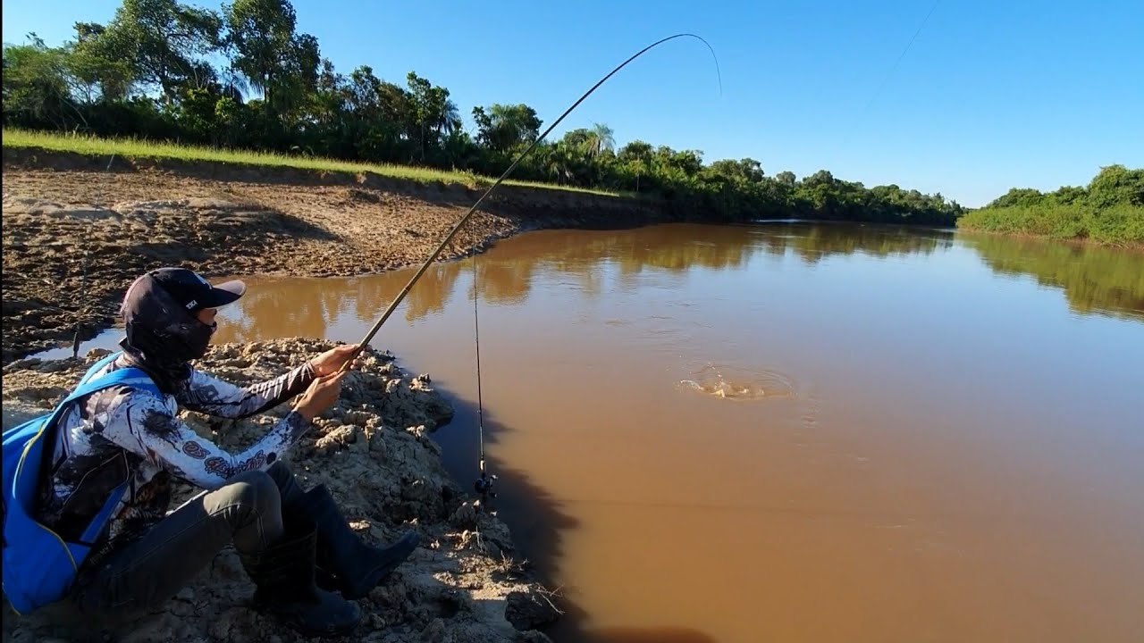Pesca no pantanal deu amarelão e pacu peva, e animal selvagem!!!! - YouTube