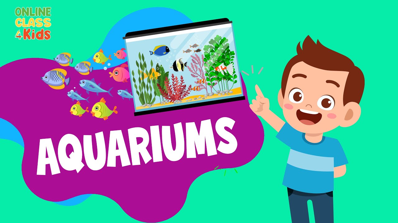 Aquariums | Aquatic Animals | Fish | Science Lesson | Educational ...