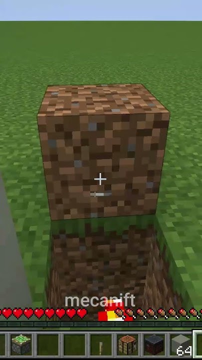 Block Swapper in Minecraft Java - YouTube