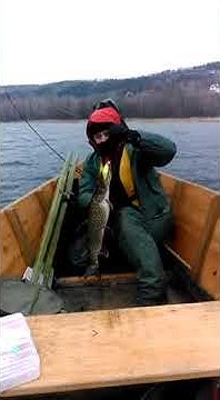 Щука декабрь 20.12.2013 - YouTube