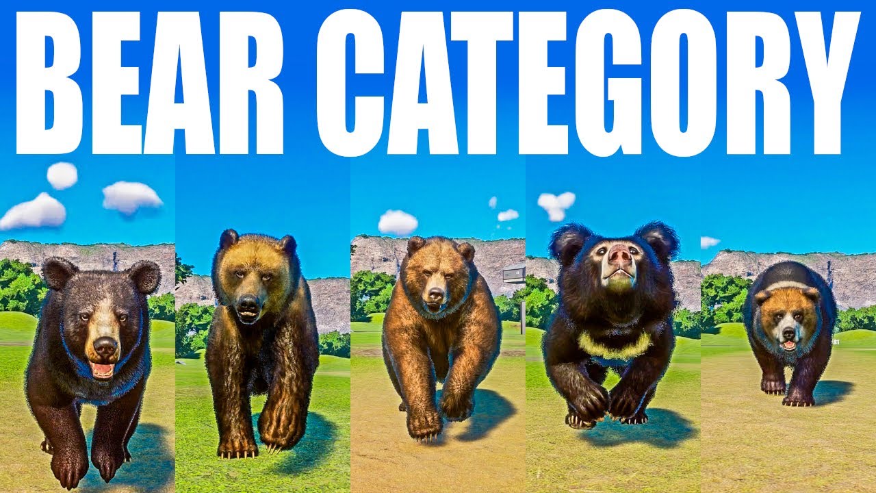 Bear Category Speed Races from All Around the World in Planet Zoo ...