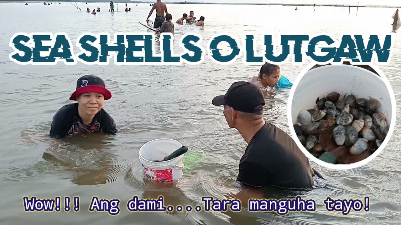 Ang pangunguha namin ng mga Lutgaw o Sea Shells. Ang dami season ...
