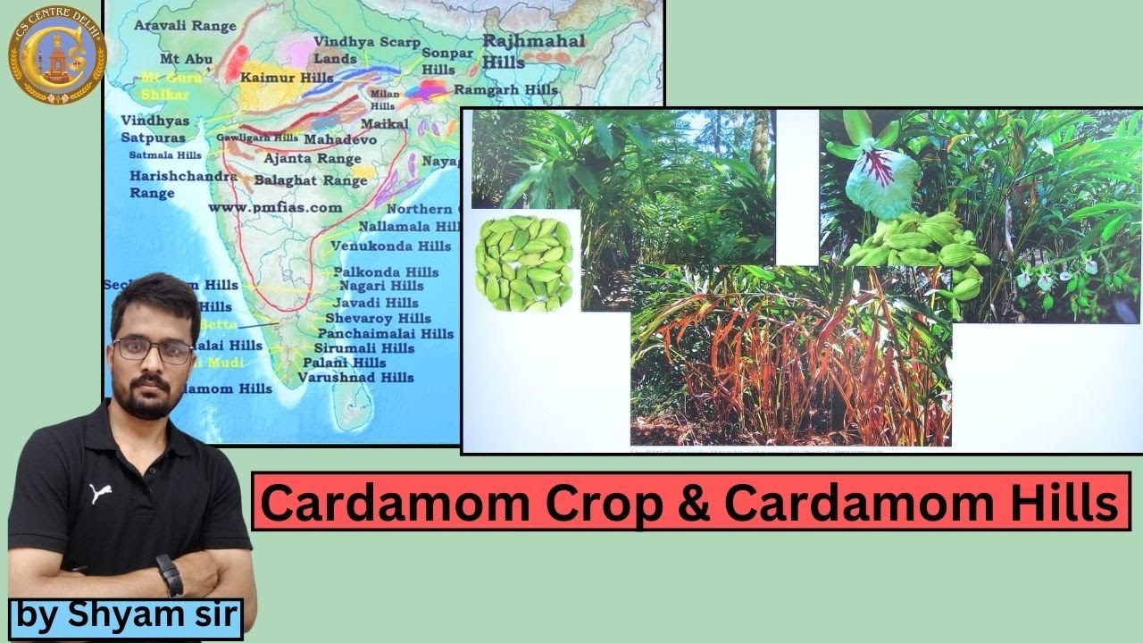 Cardamom Crop & #CardamomHills | by Shyam sir | upsc | uppcs | other ...