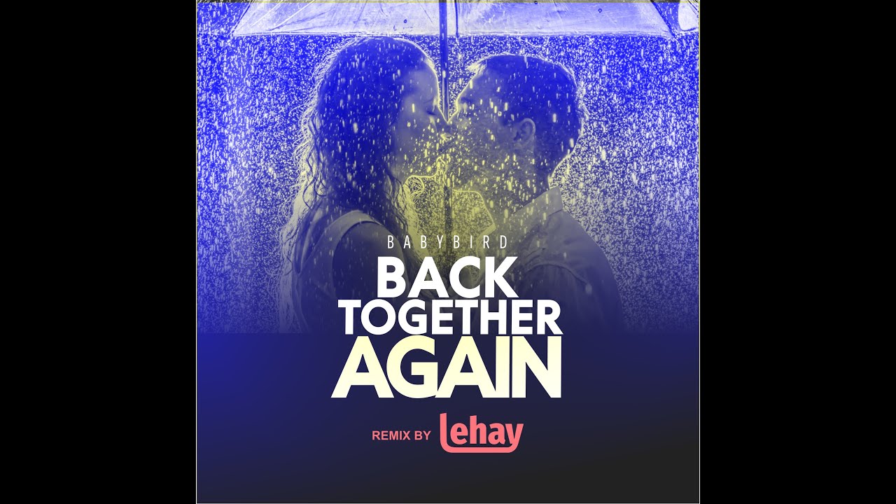 Babybird - Back Together Again (Remix by Lehay) - YouTube