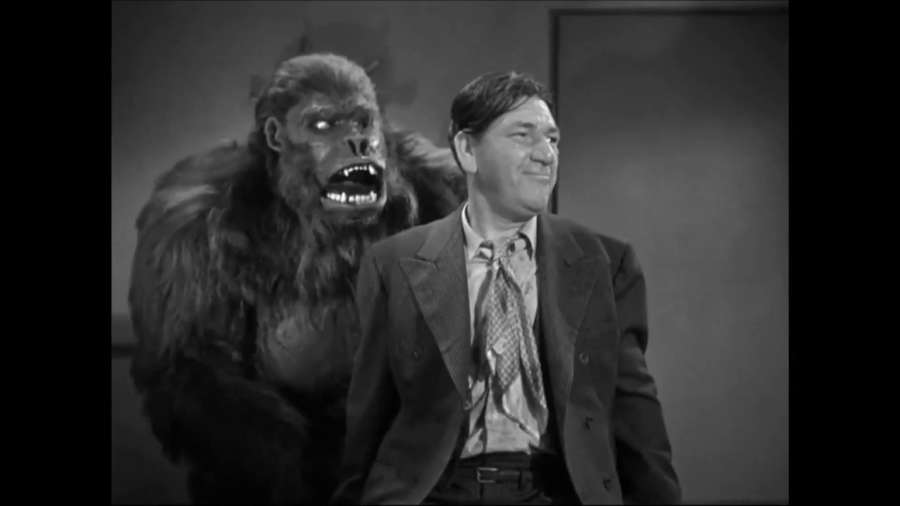 The Three Stooges - SHEMP and CURLY comparison - YouTube