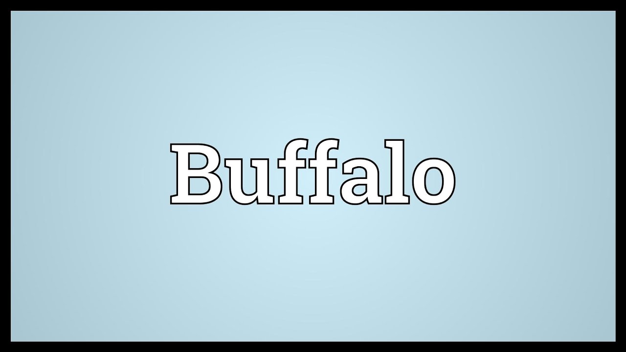 Buffalo Meaning - YouTube