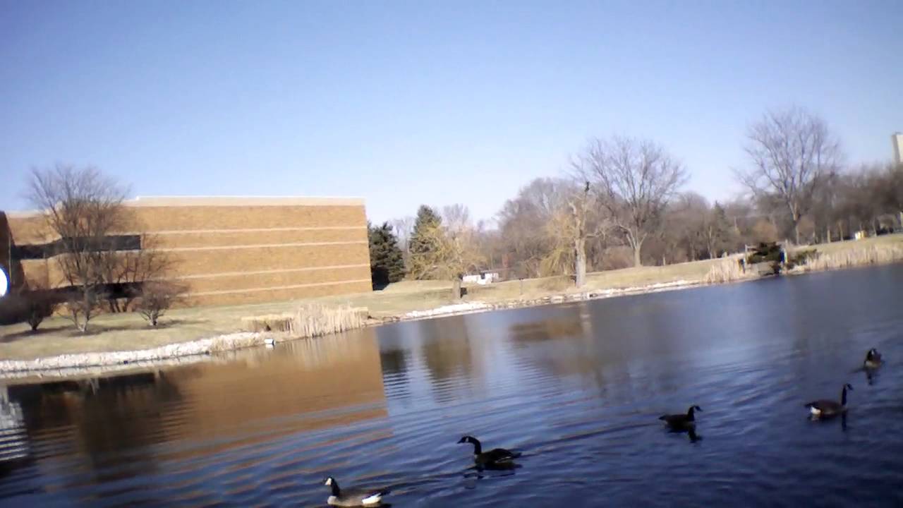 A.R Drone chasing geese over water - YouTube