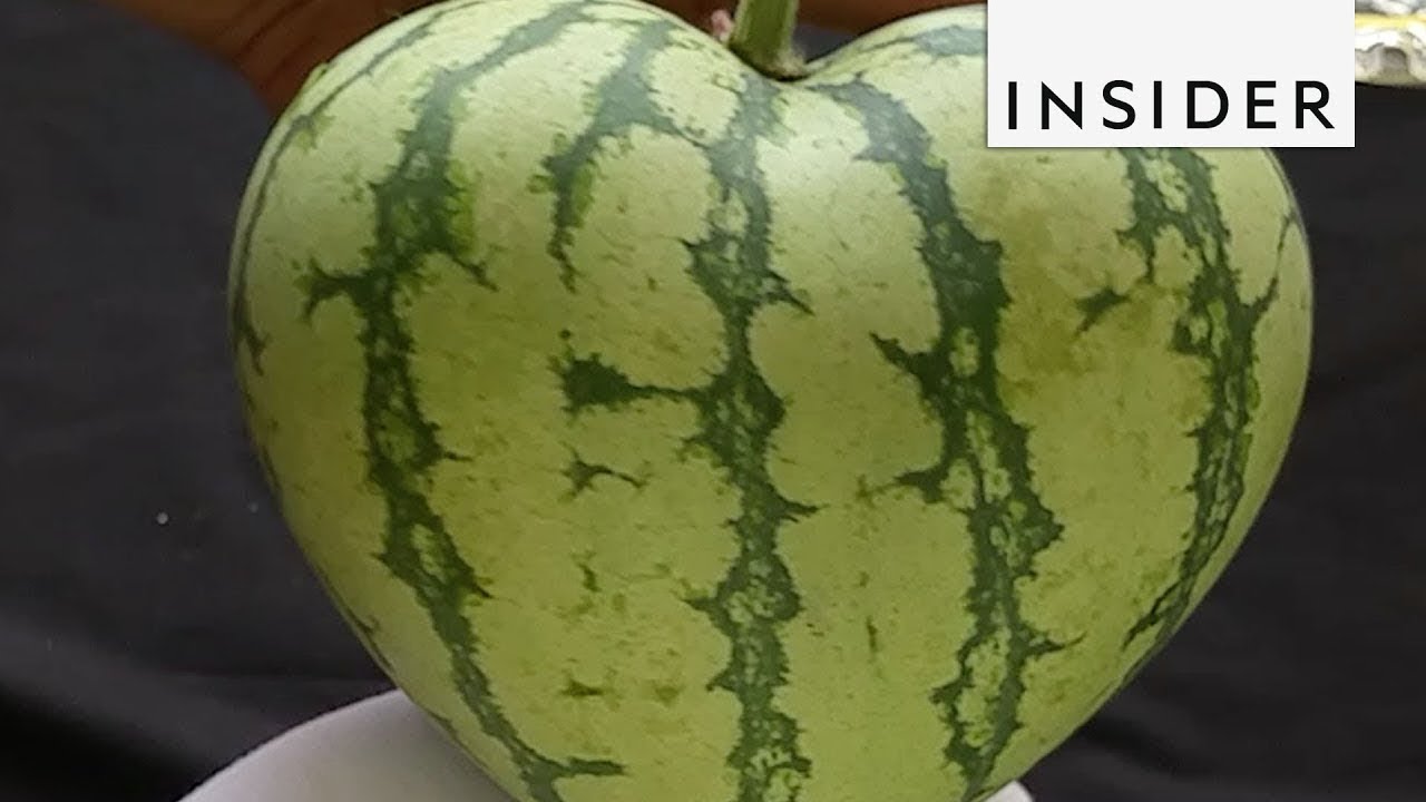 Grow Fruit Into Fun Shapes YouTube Grow Fruit Into Fun Shapes YouTube