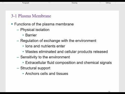 Bio233 A&P 1 Lecture Chapter 3 The Cellular Level of Organization Part 1 2023 - YouTube