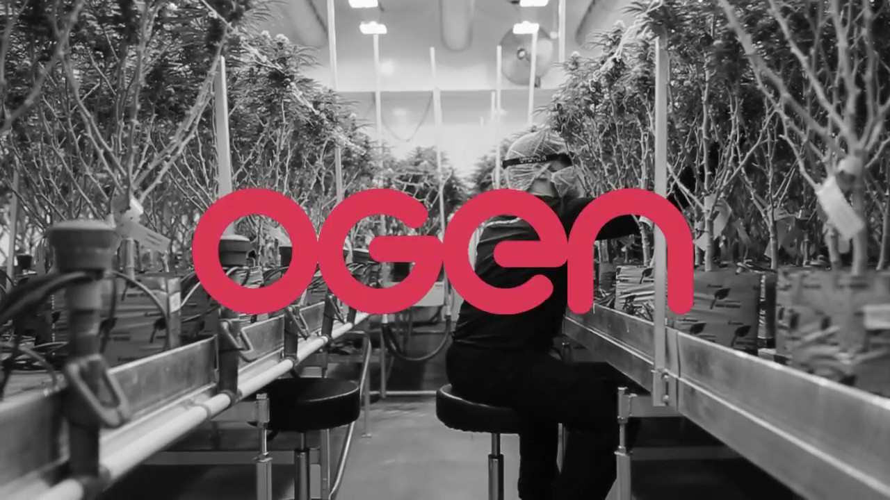 OGEN Cannabis Highlight Reel - YouTube