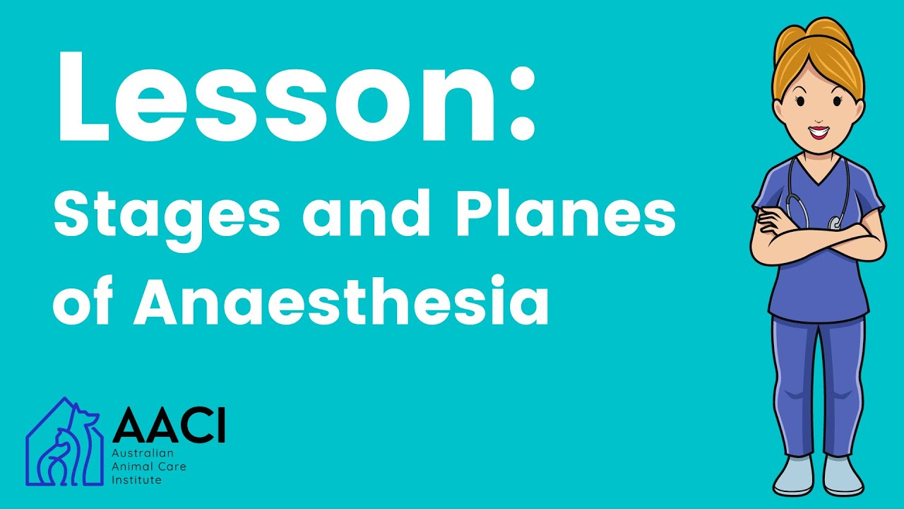 Stages and Planes of Anaesthesia - YouTube