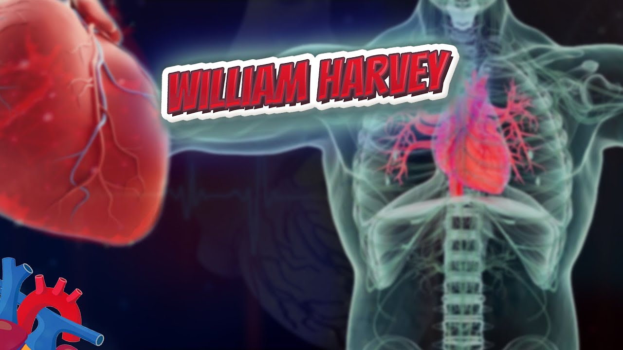 William Harvey - Human Heart ️ and Cardiology ️🔊 - YouTube