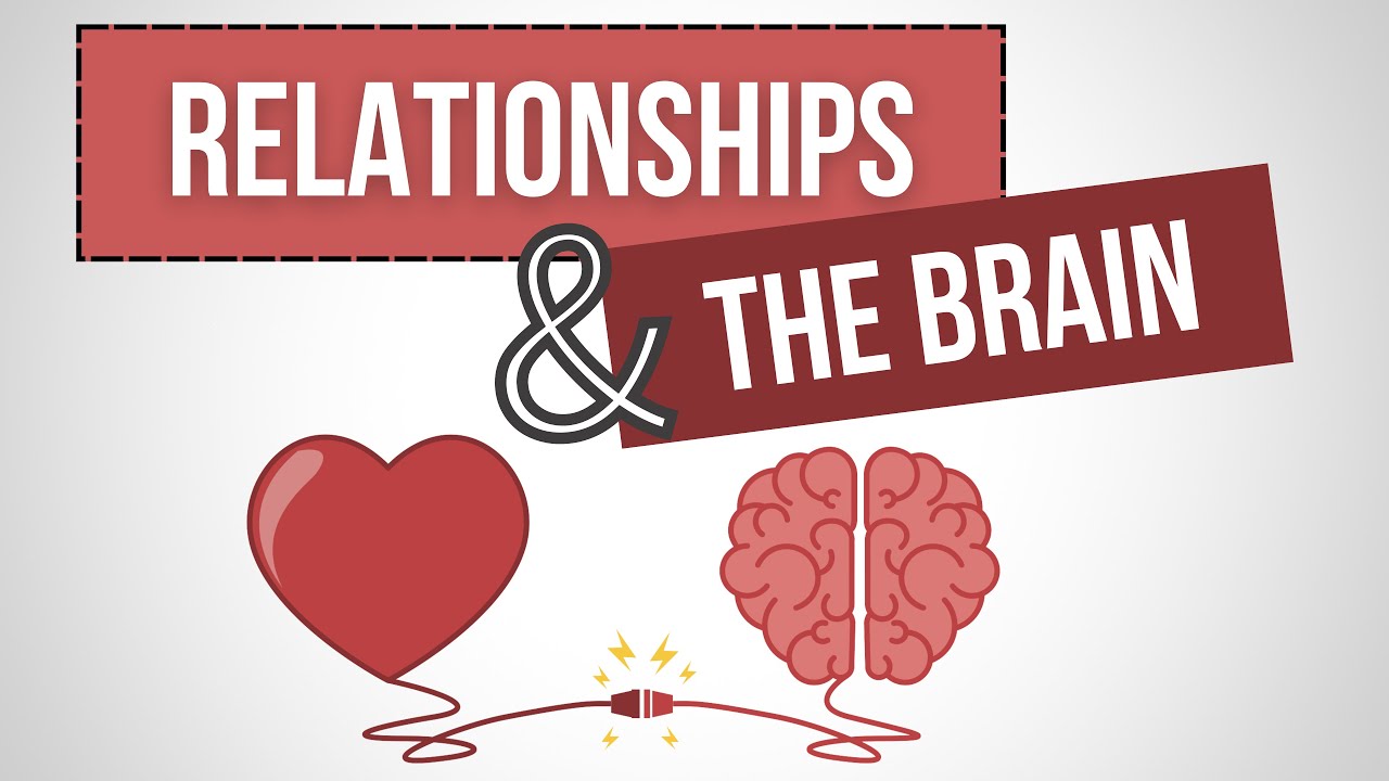 Relationships and the Brain | Cereset | Dr. Doug Weiss & Lee Gerdes ...