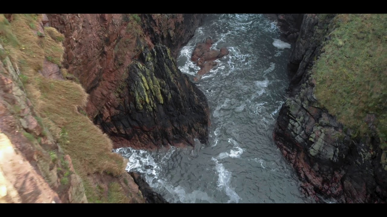 Video 003: To be wild - YouTube