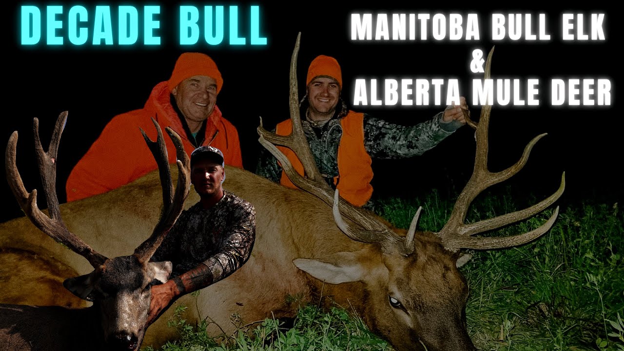 ONCE IN A DECADE! Manitoba Bull Elk + Alberta Archery Mule Deer - YouTube