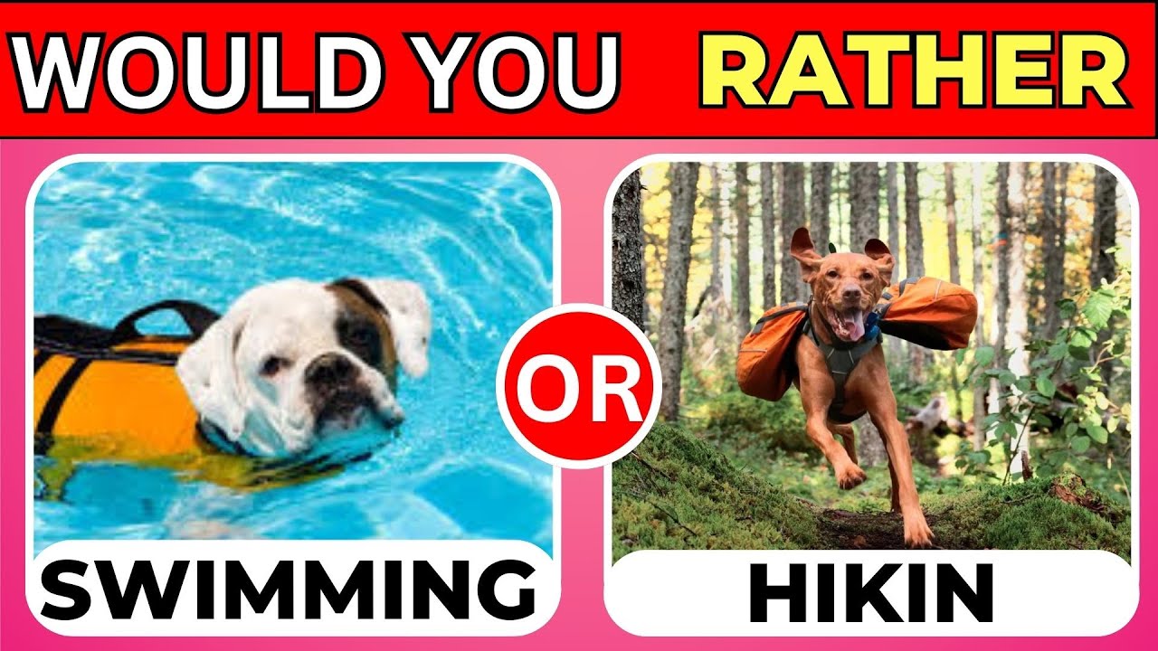 Would You Rather Dog Edition | Quizzer's Challenge - YouTube