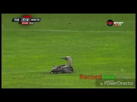 عناد بطة ينهي مباراة لكرة القدم