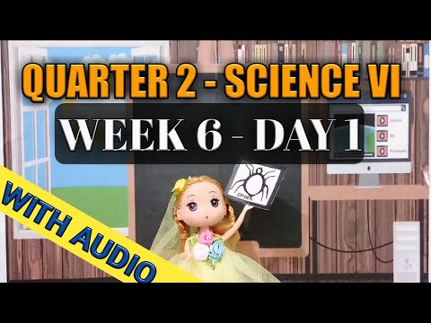 QUARTER 2 | SCIENCE VI | WEEK 6 - DAY 1 - YouTube
