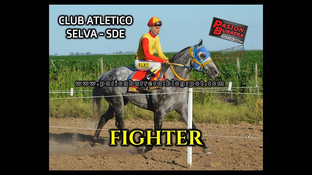 FIGHTER, Selva (02-02-2020) - YouTube