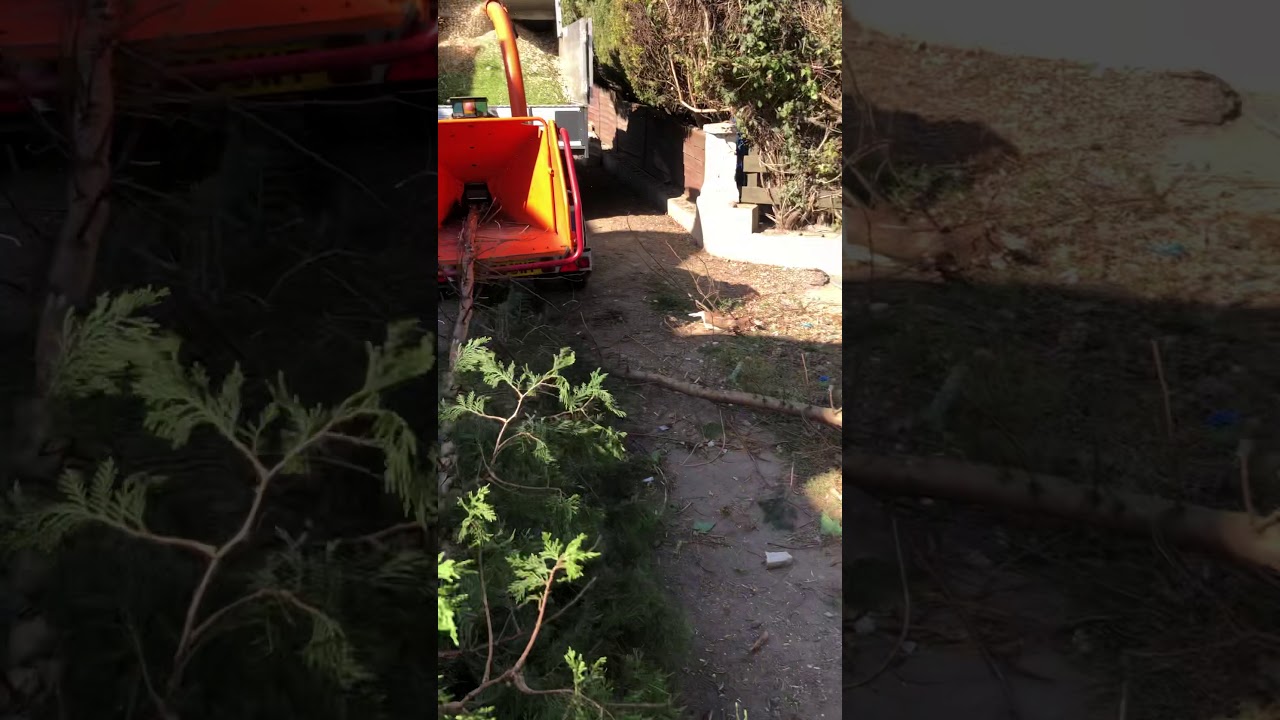 Timberwolf tw150 - YouTube