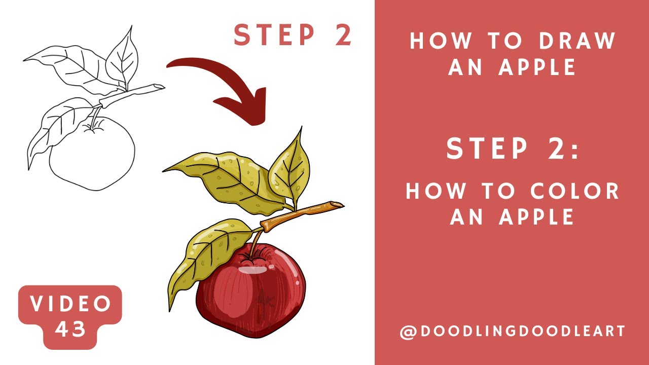 43 | Draw with me: Step 2-How to color an apple|#drawingtutorial # ...